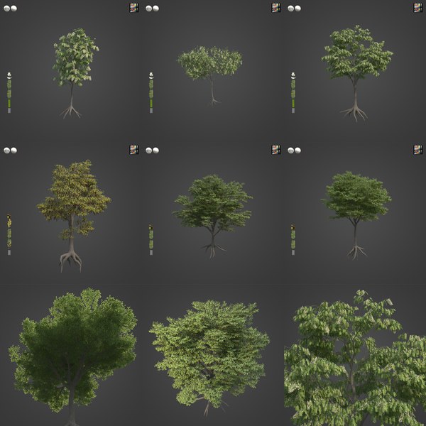 thornless honey locust tree 3d model