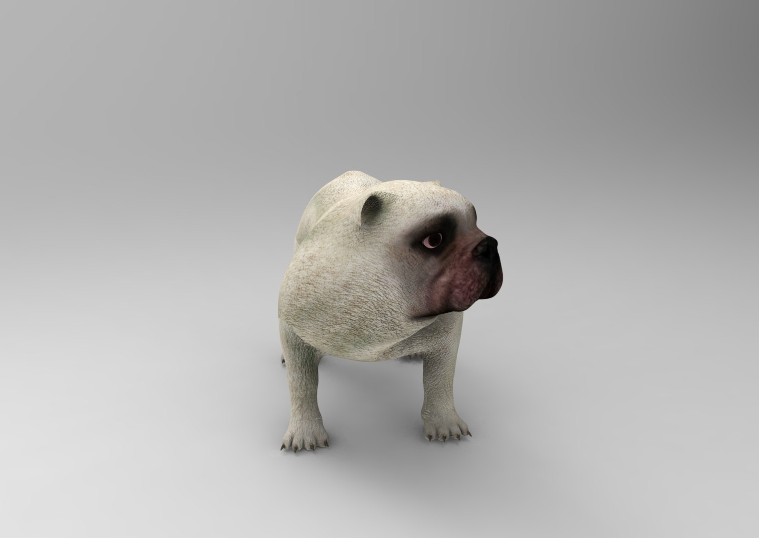 3d Model Bulldog Rigged