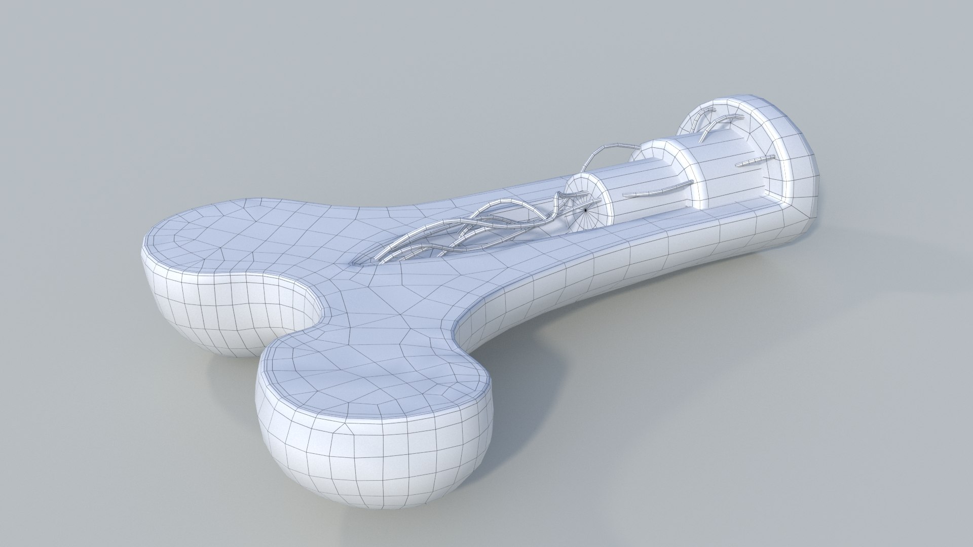 Bone Slice 3D Model - TurboSquid 1789557