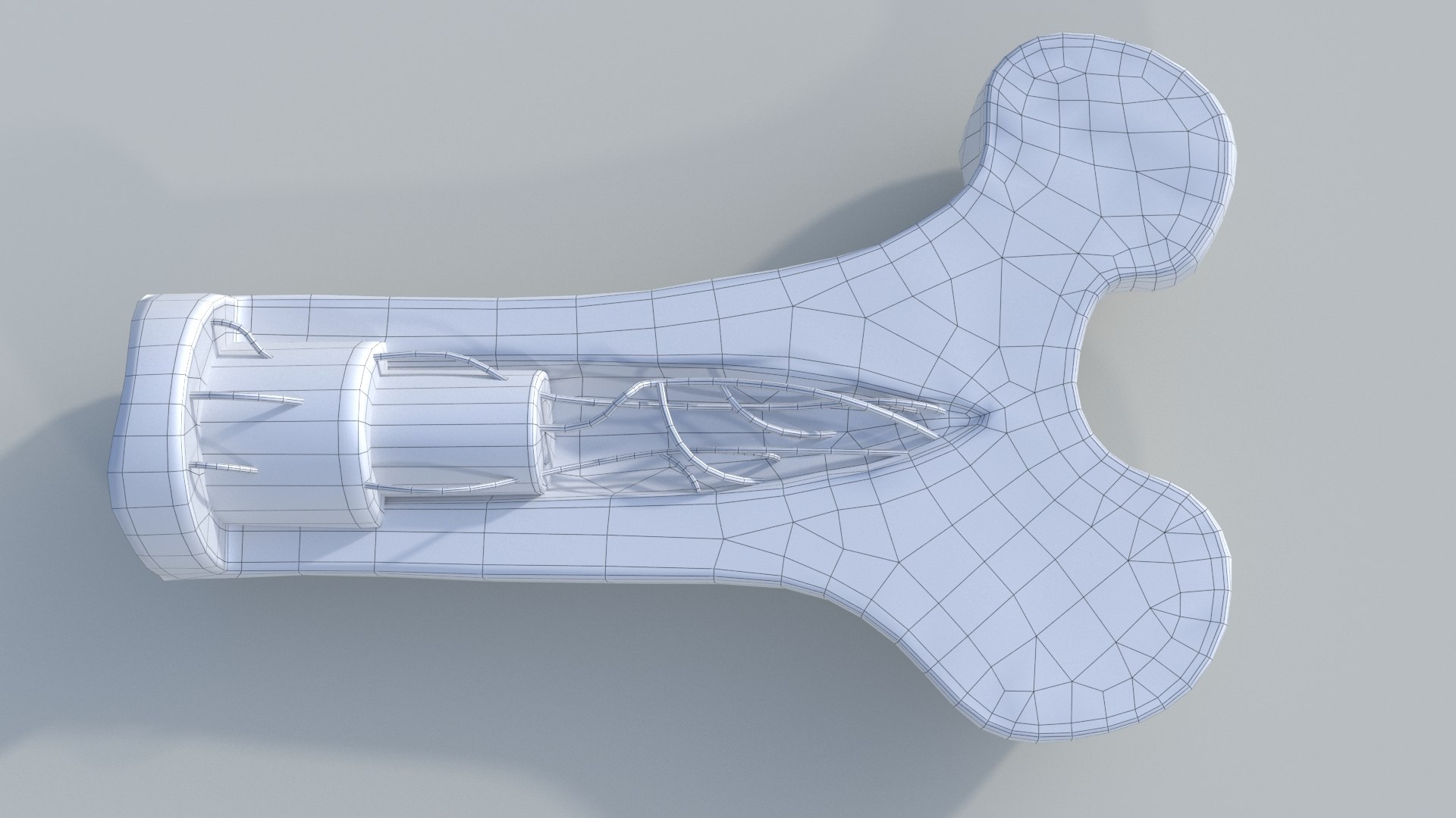 Bone Slice 3D Model - TurboSquid 1789557