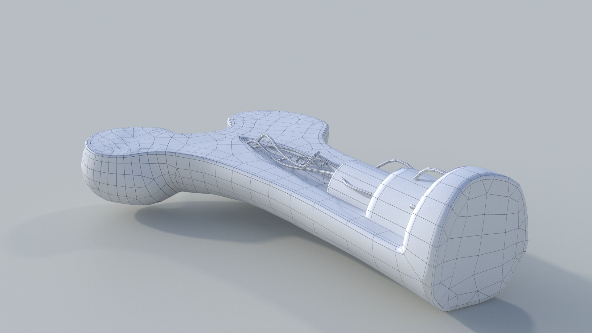 Bone Slice 3D Model - TurboSquid 1789557