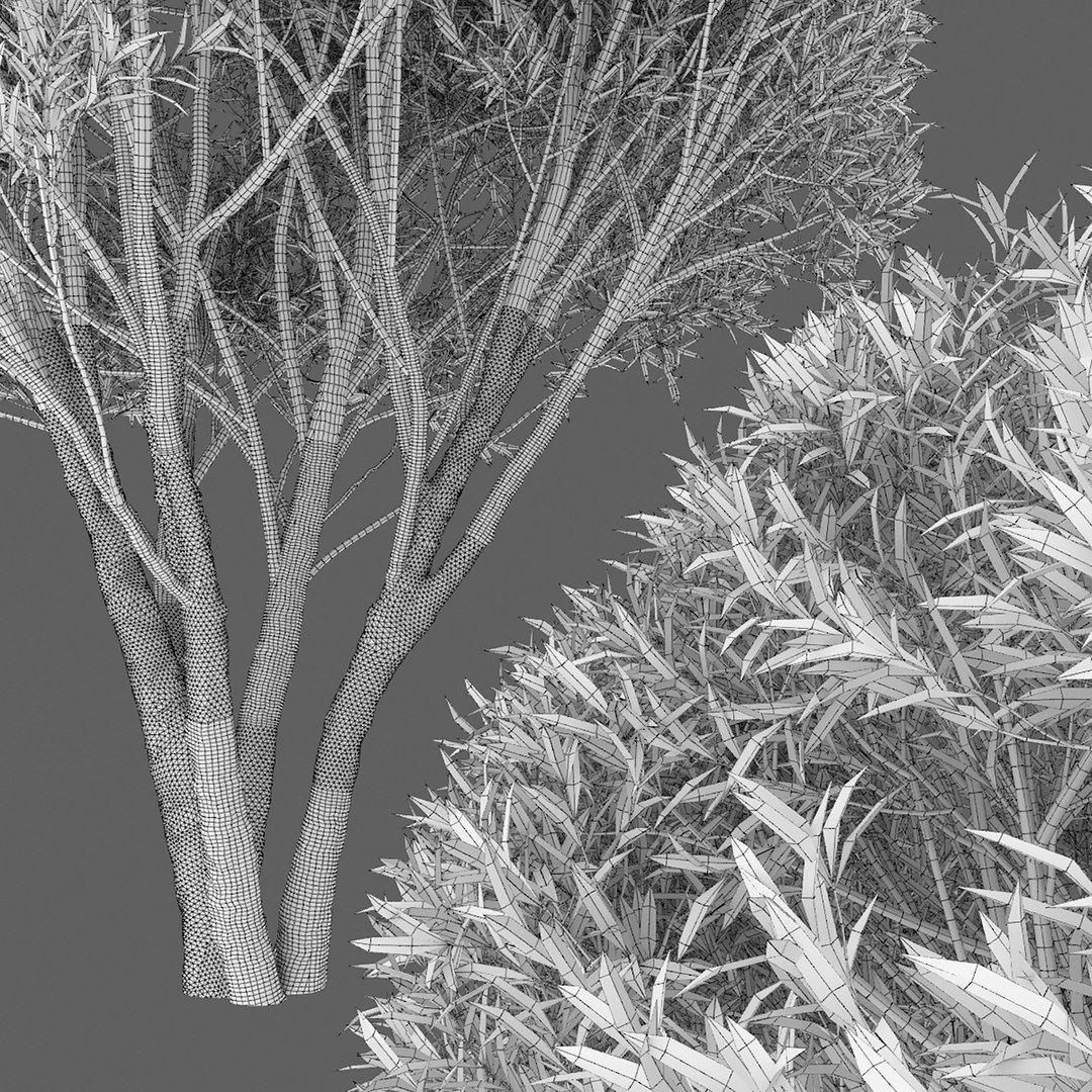 Willow Trees 3D Model - TurboSquid 1698221