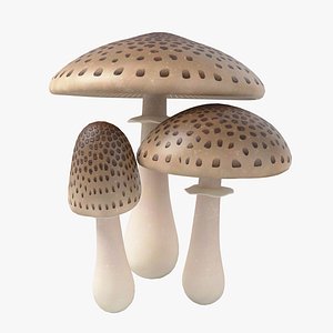 Hongo De Dibujos Animados 3D Modelos para Descargar | TurboSquid