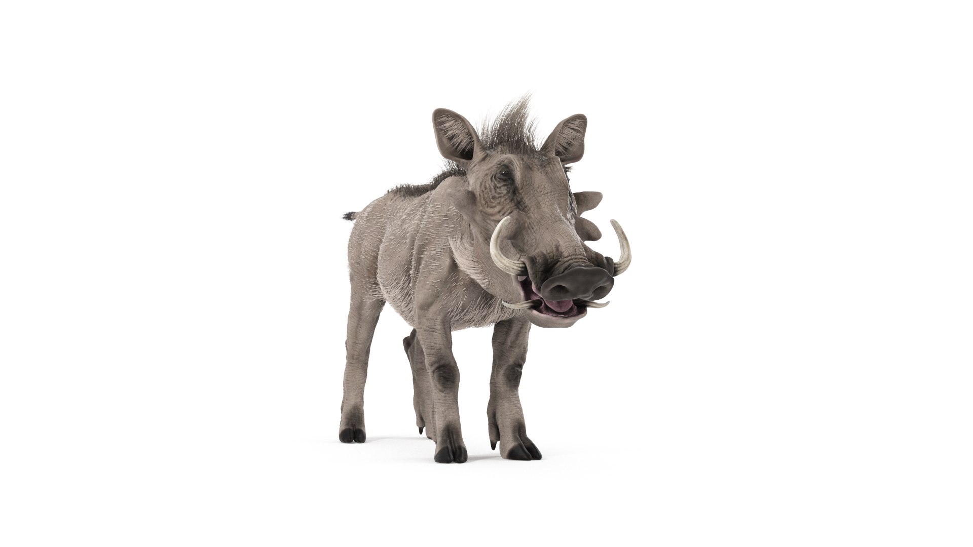 Warthog Textured With Fur 3D Model - TurboSquid 2420986