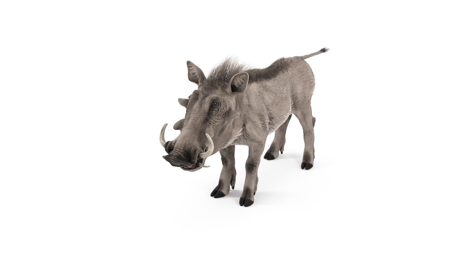 Warthog Textured With Fur 3D Model - TurboSquid 2420986