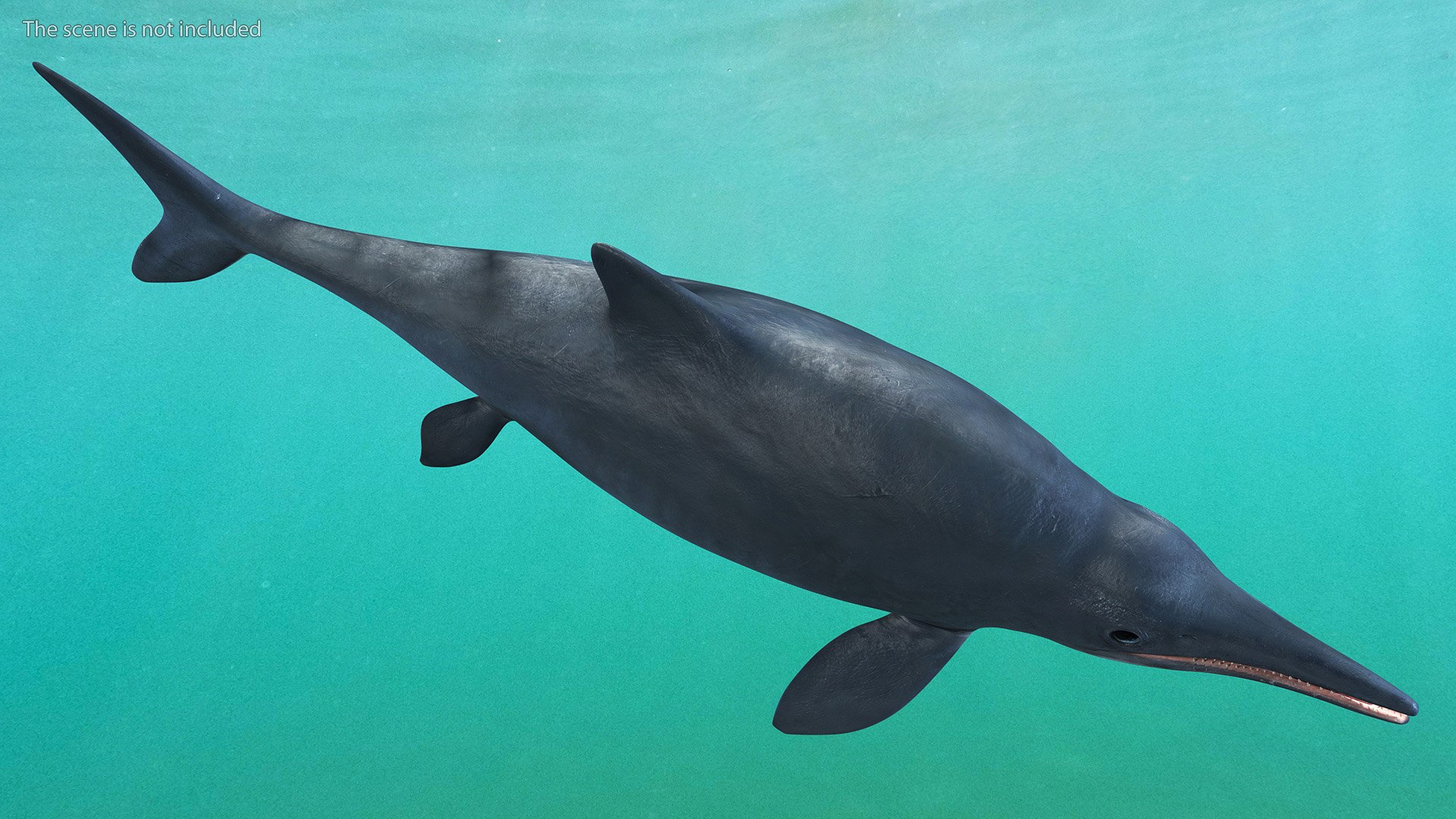 Ichthyosaur Rigged For Cinema 4D Model - TurboSquid 2095514