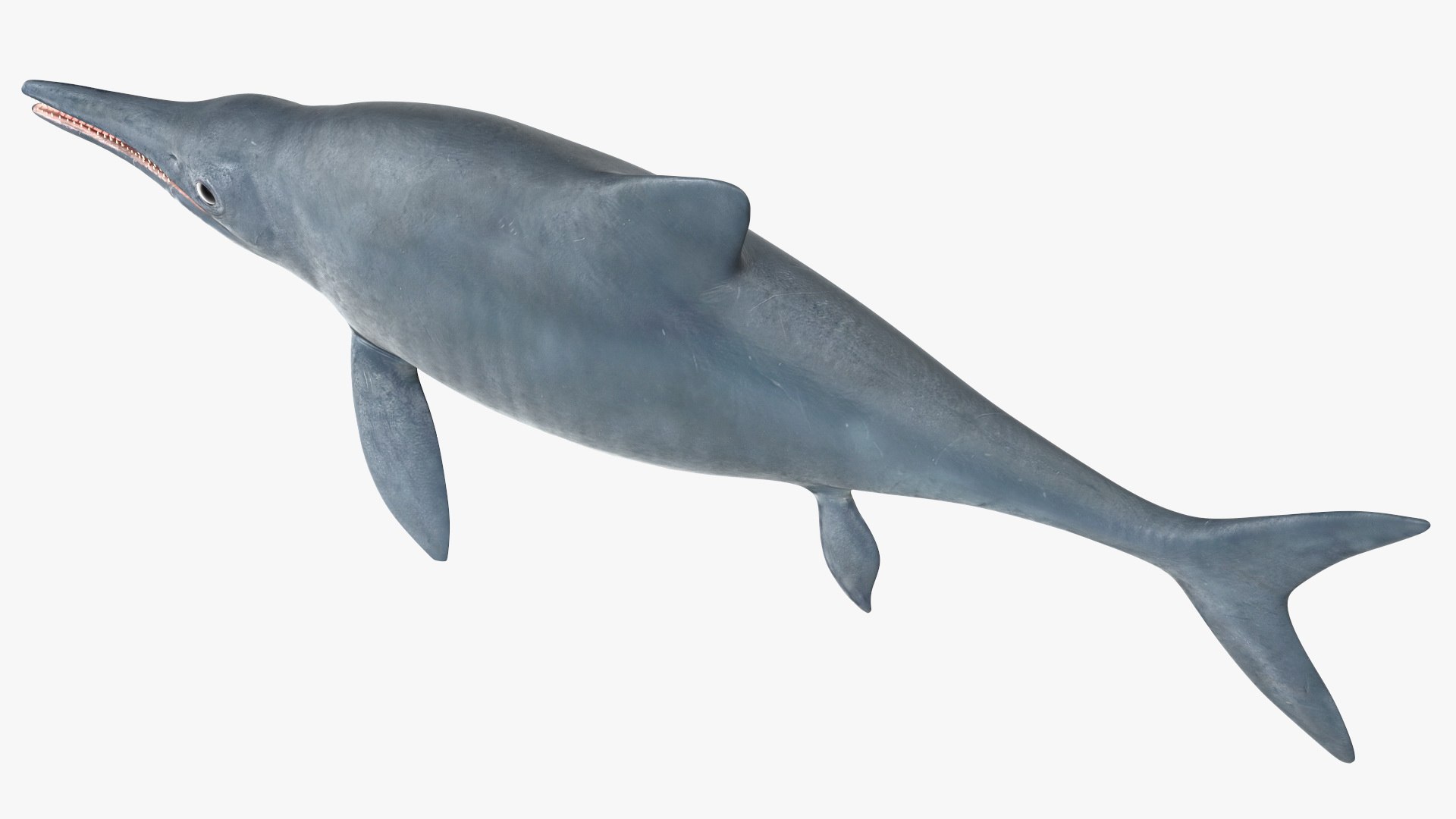 Ichthyosaur Rigged For Cinema 4D Model - TurboSquid 2095514