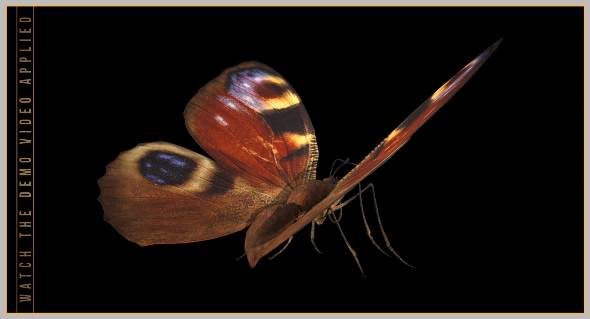 Butterfly Flying Model - TurboSquid 1246205