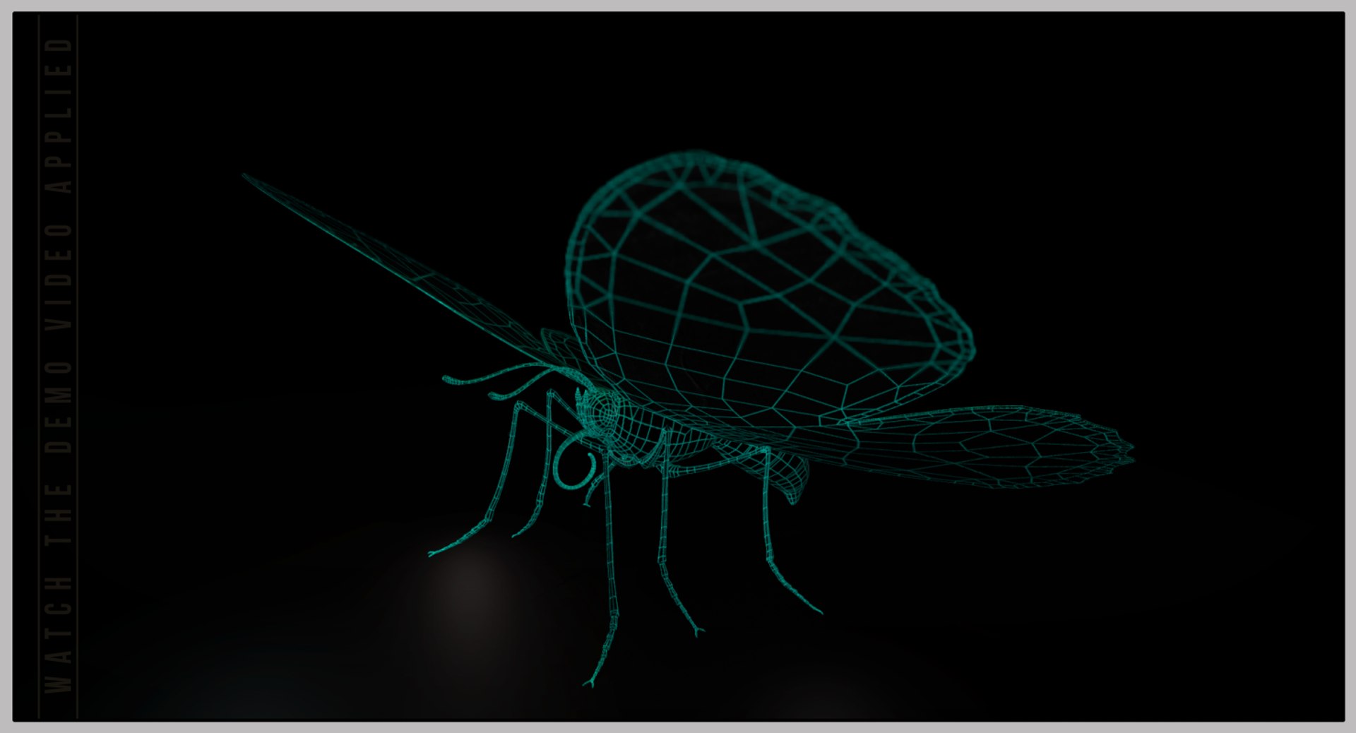 Butterfly flying model - TurboSquid 1246205