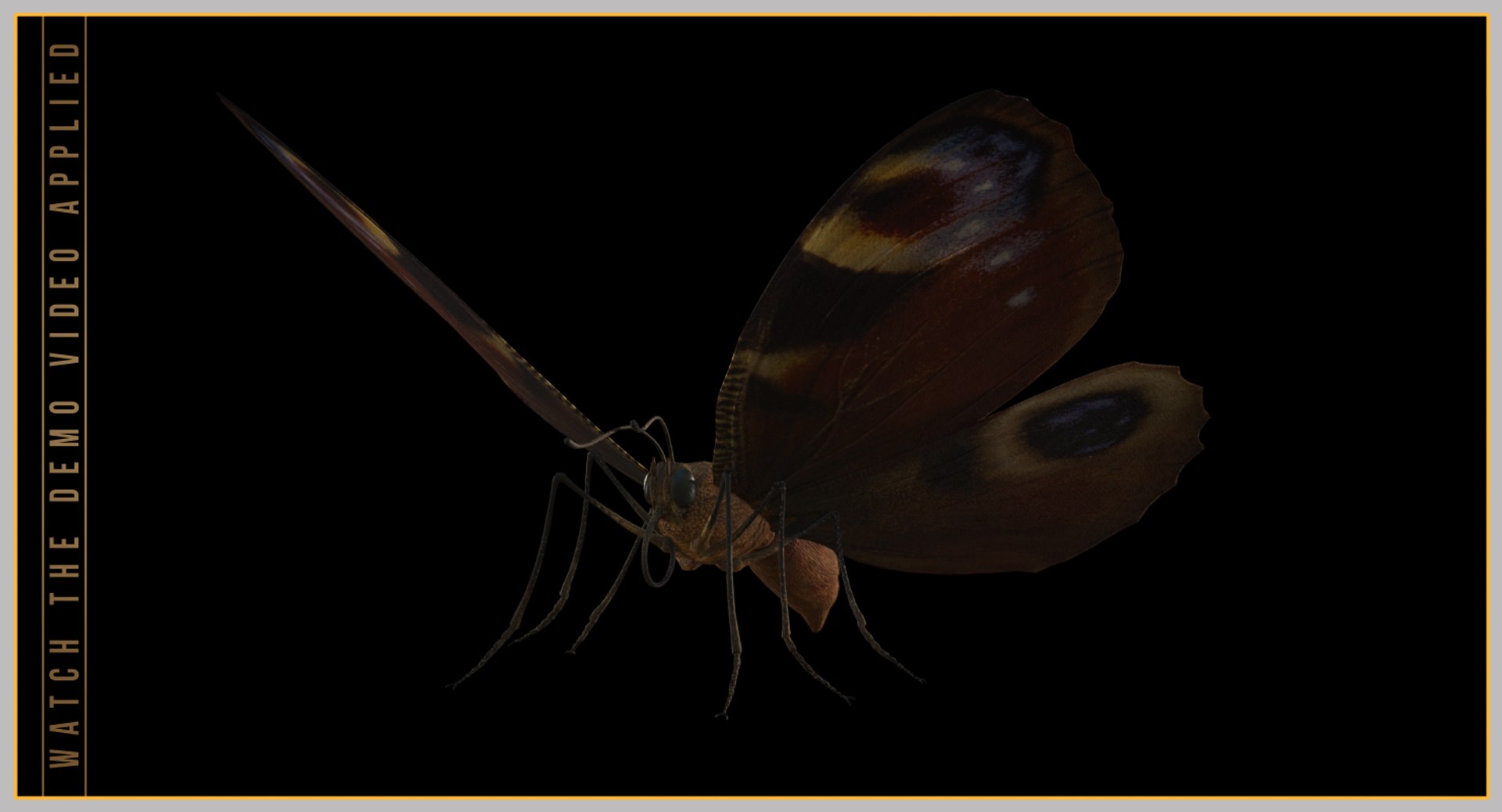 Butterfly Flying Model - TurboSquid 1246205