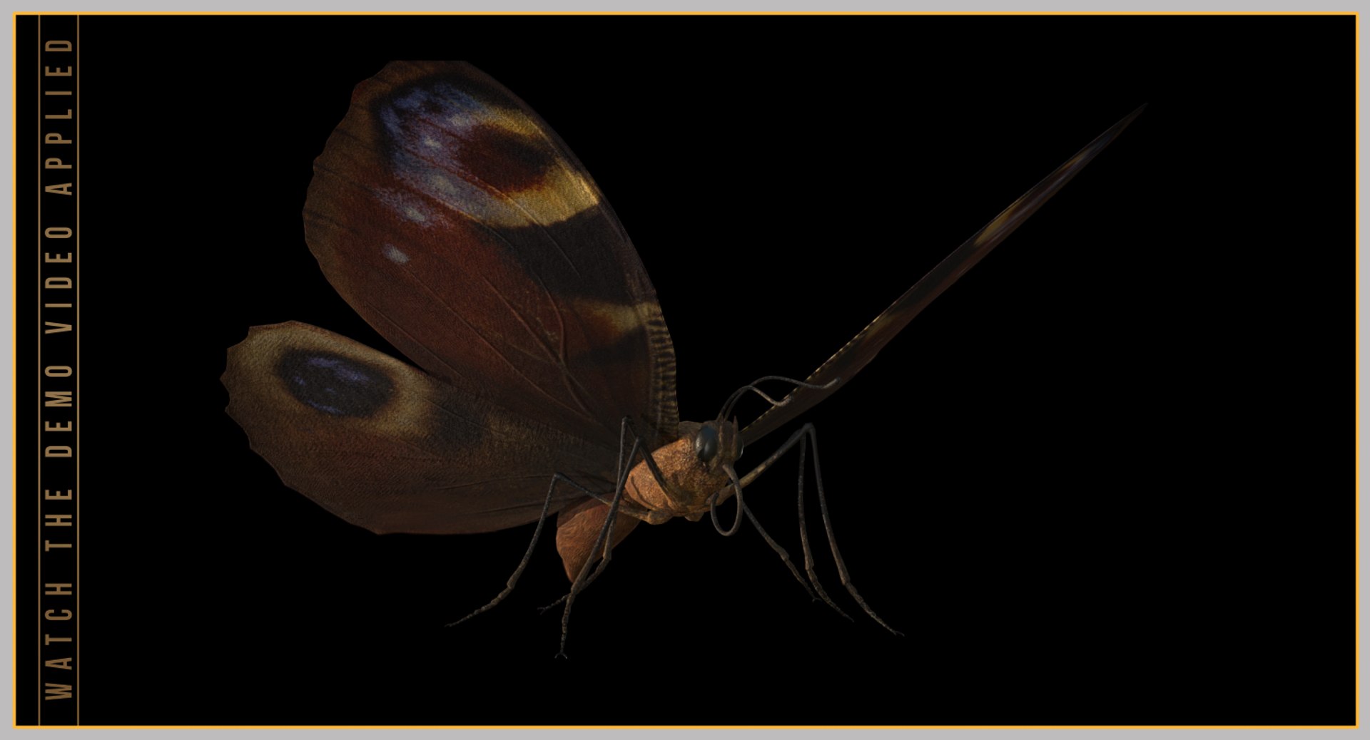 Butterfly Flying Model - TurboSquid 1246205