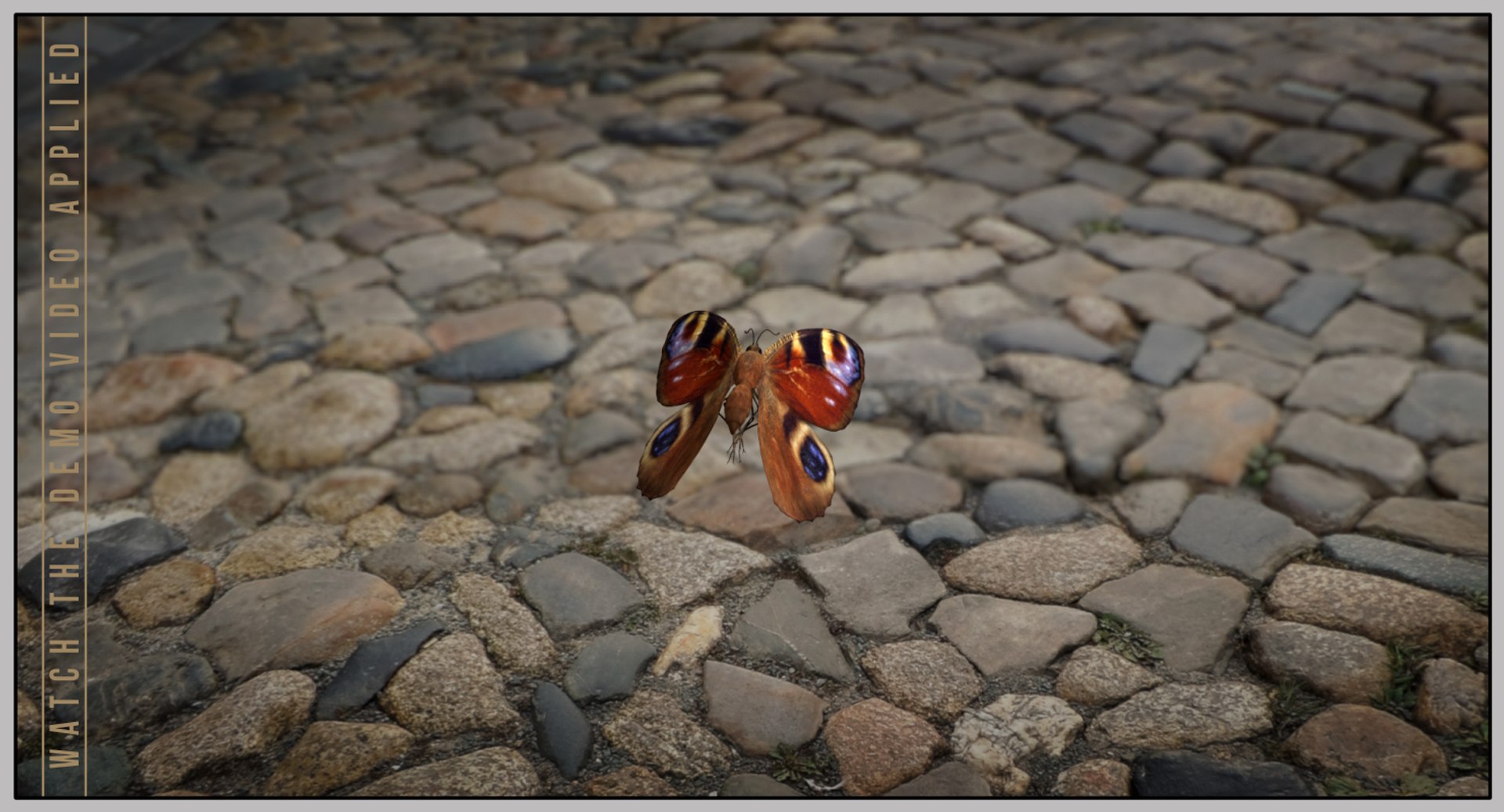 Butterfly Flying Model - TurboSquid 1246205