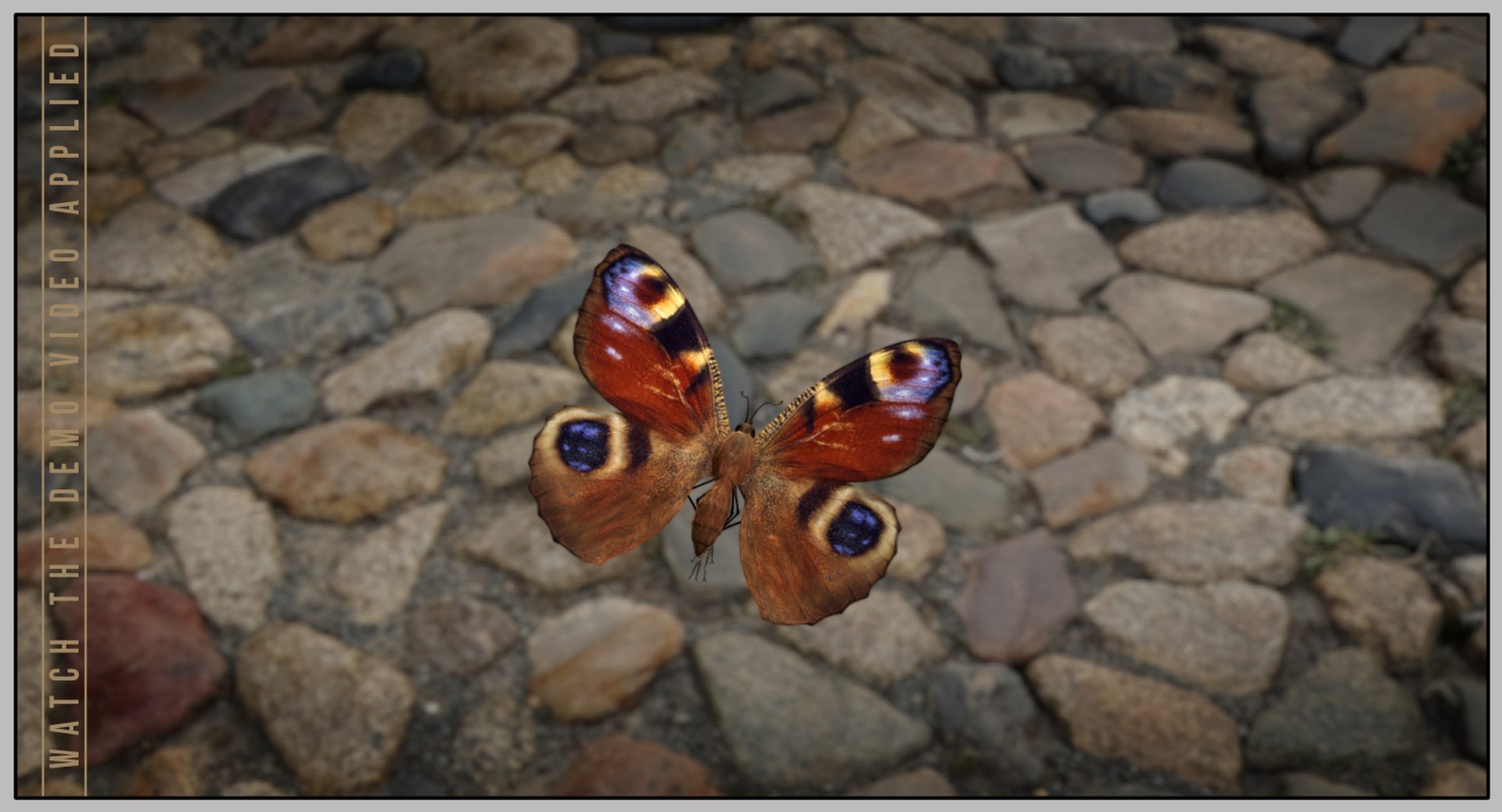 Butterfly Flying Model - TurboSquid 1246205