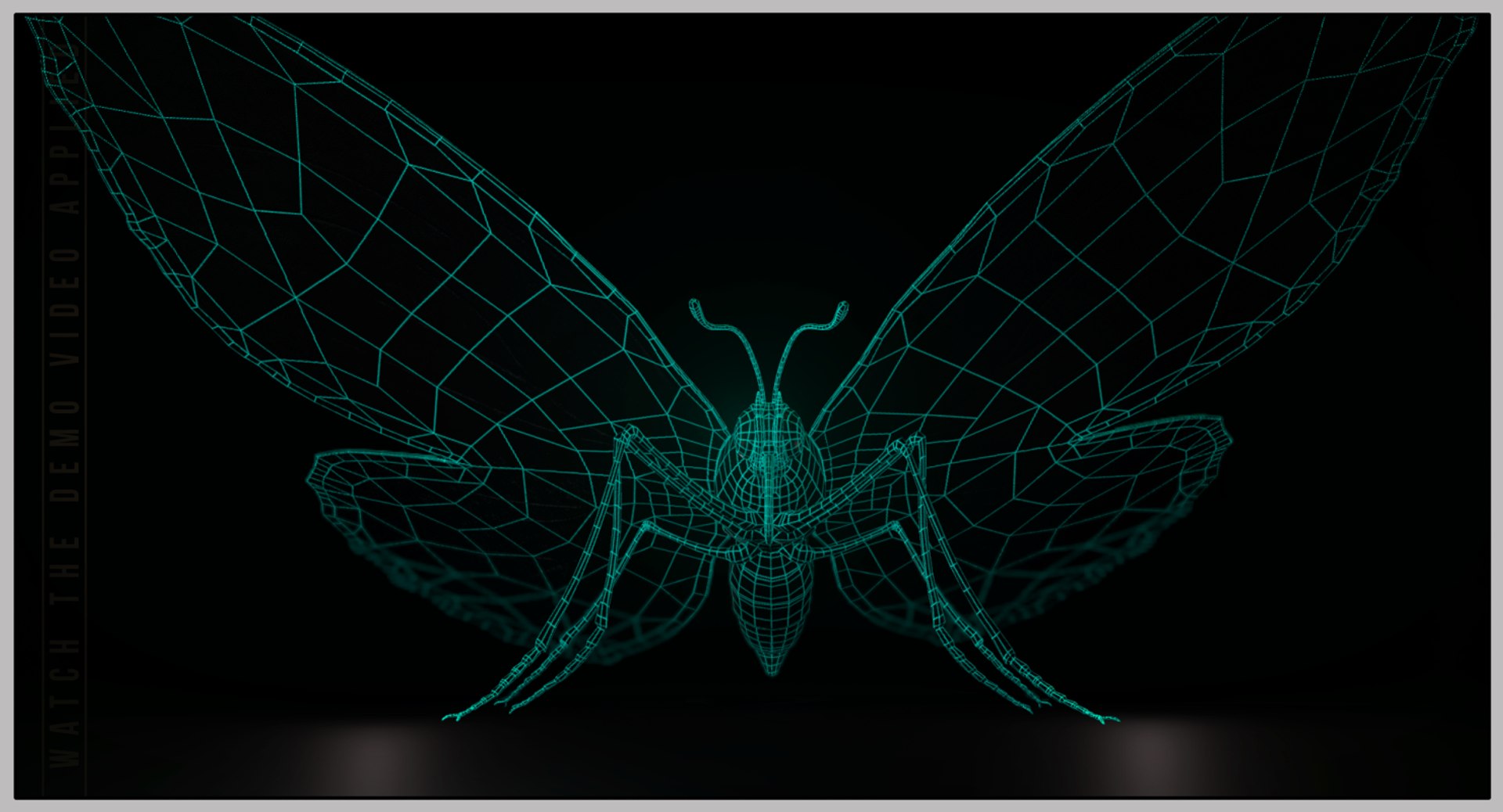 Butterfly flying model - TurboSquid 1246205