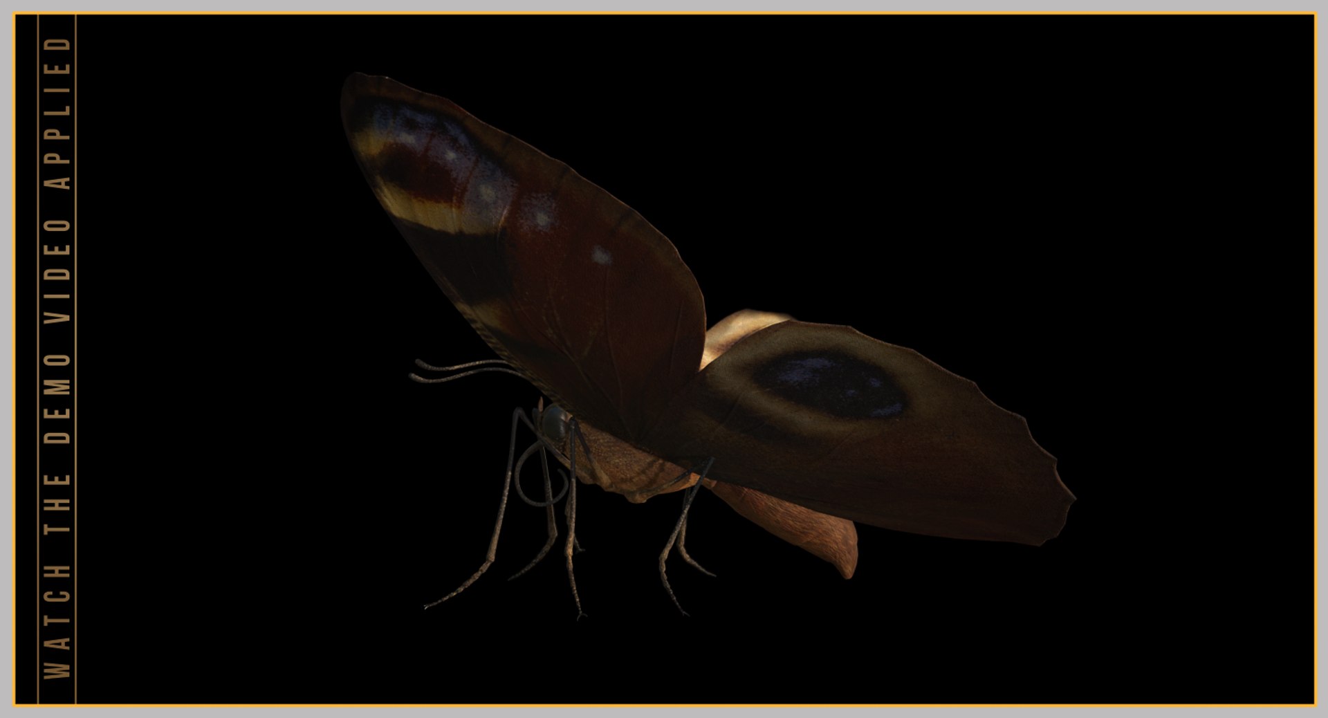 Butterfly Flying Model - TurboSquid 1246205
