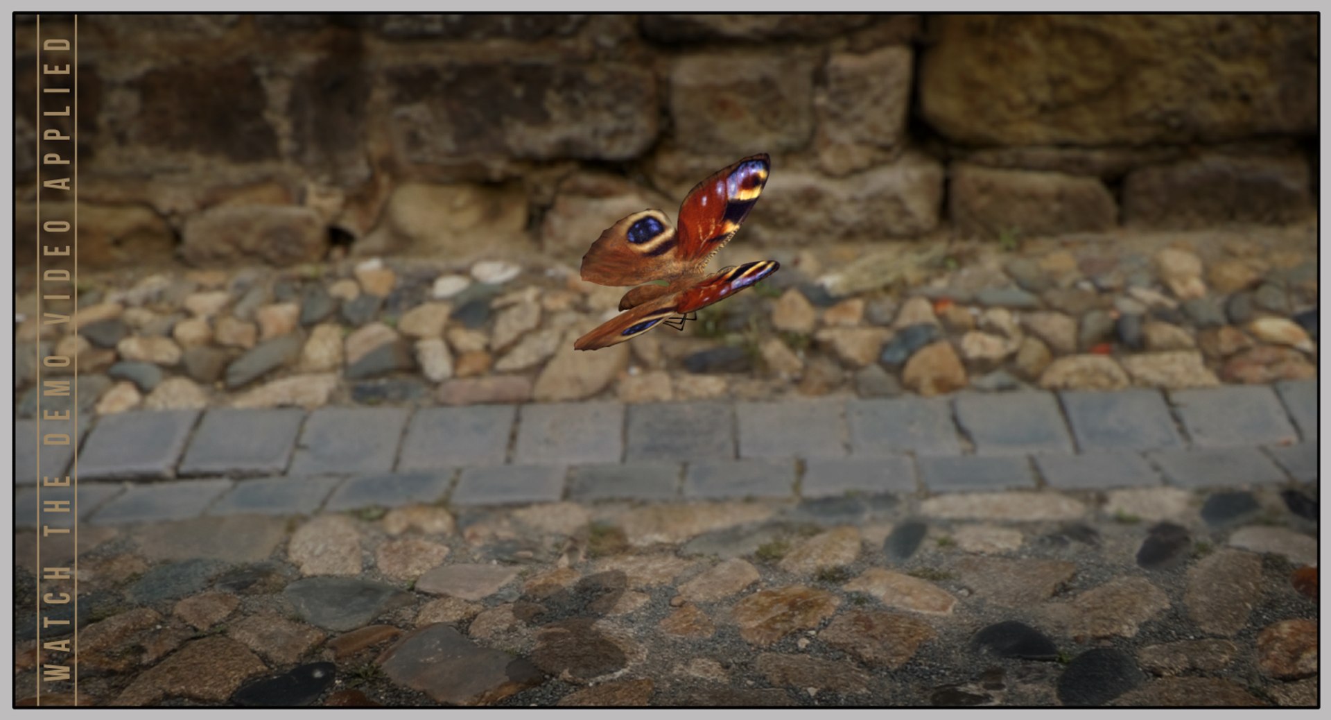 Butterfly Flying Model - TurboSquid 1246205