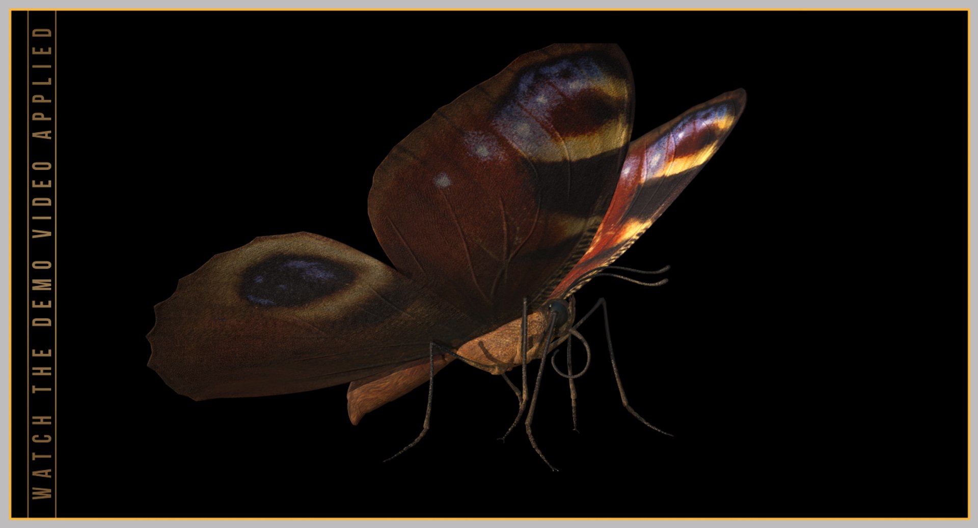Butterfly Flying Model - TurboSquid 1246205