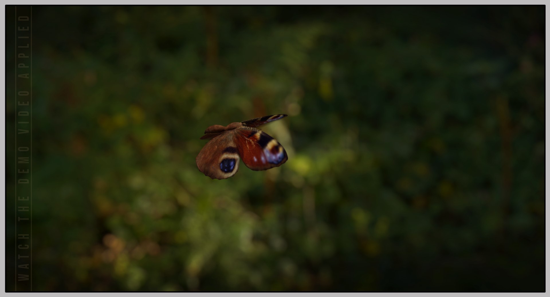 Butterfly Flying Model - TurboSquid 1246205