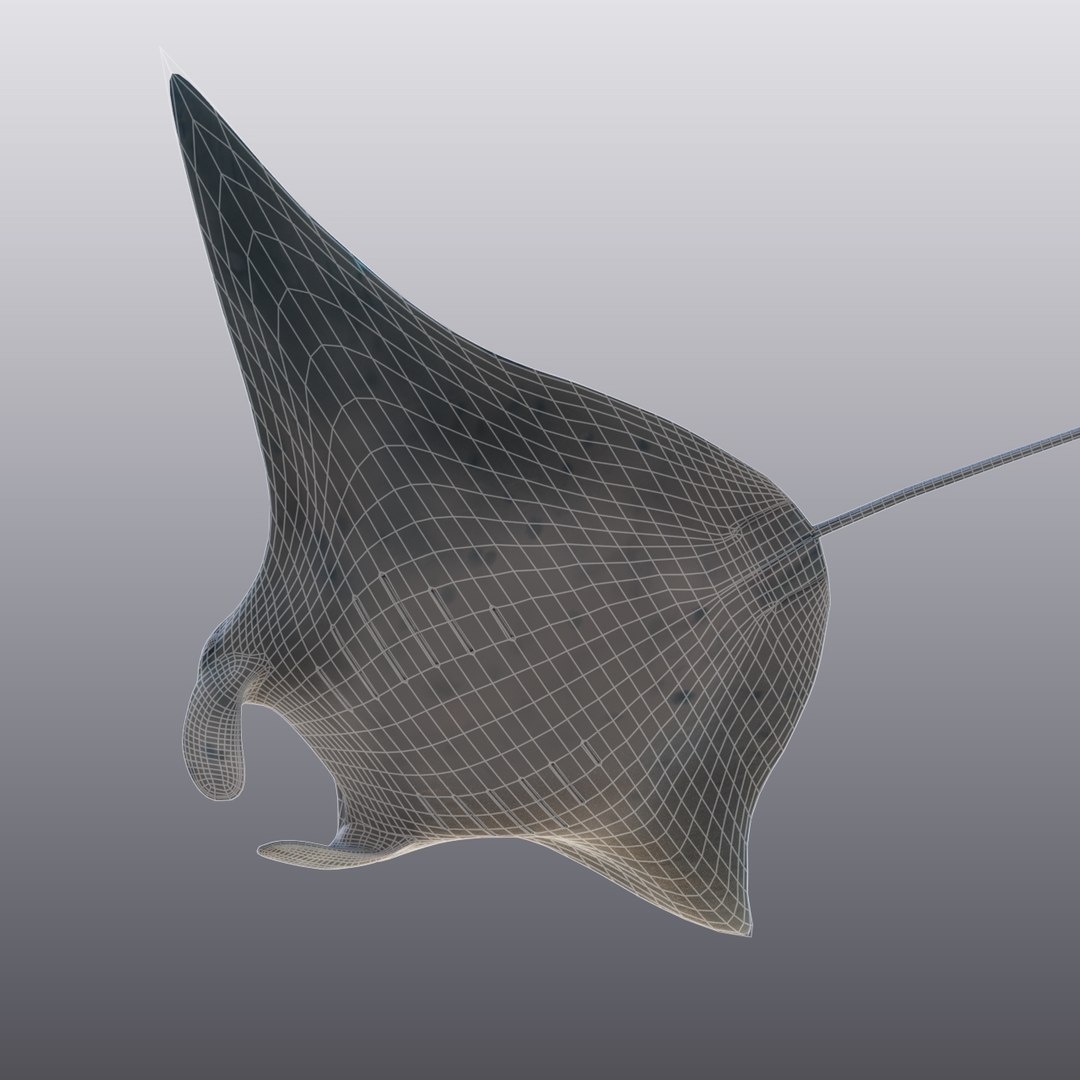 Max Manta M