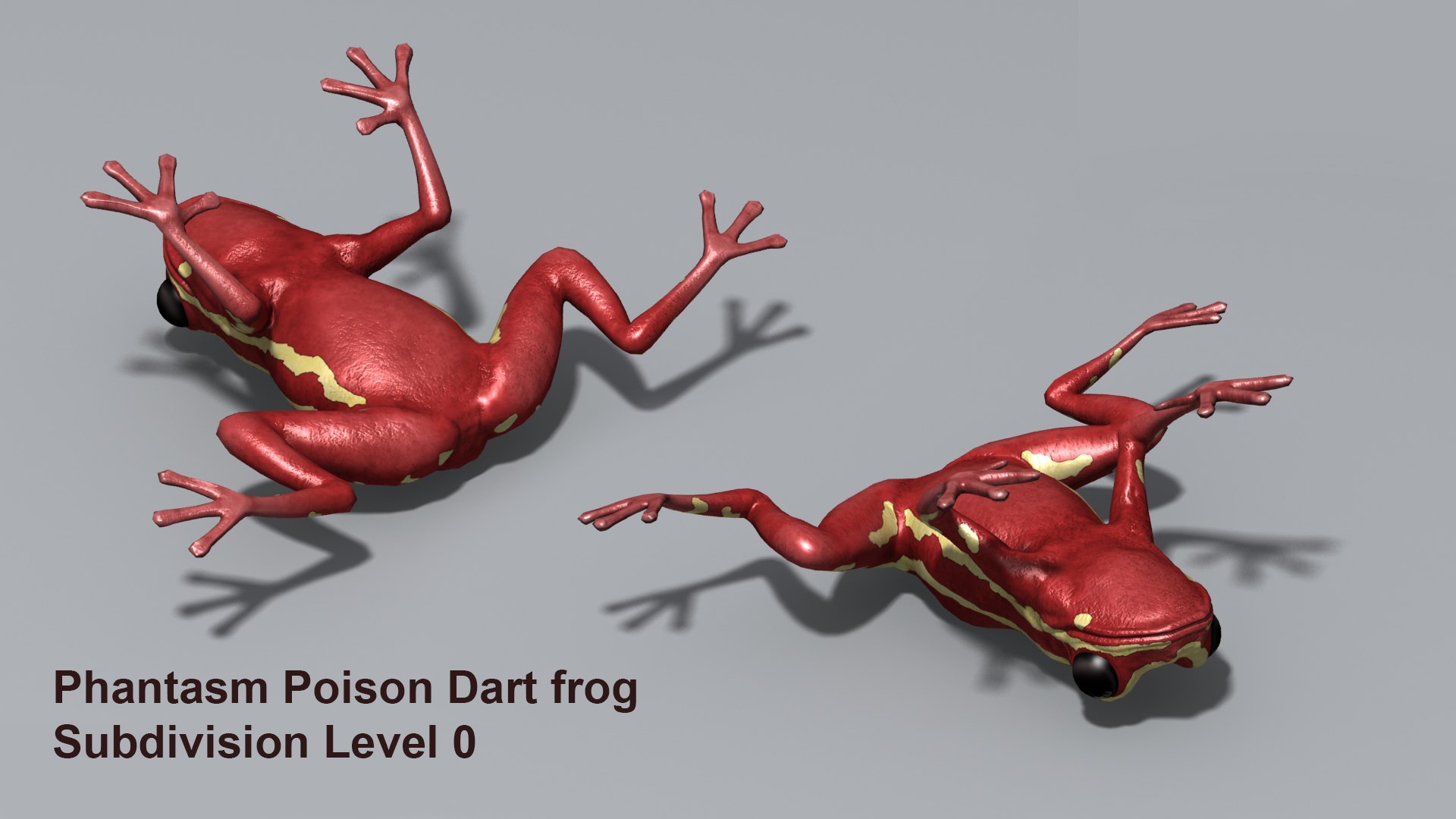 Phantasm Poison Frog 3D Model - TurboSquid 2188539