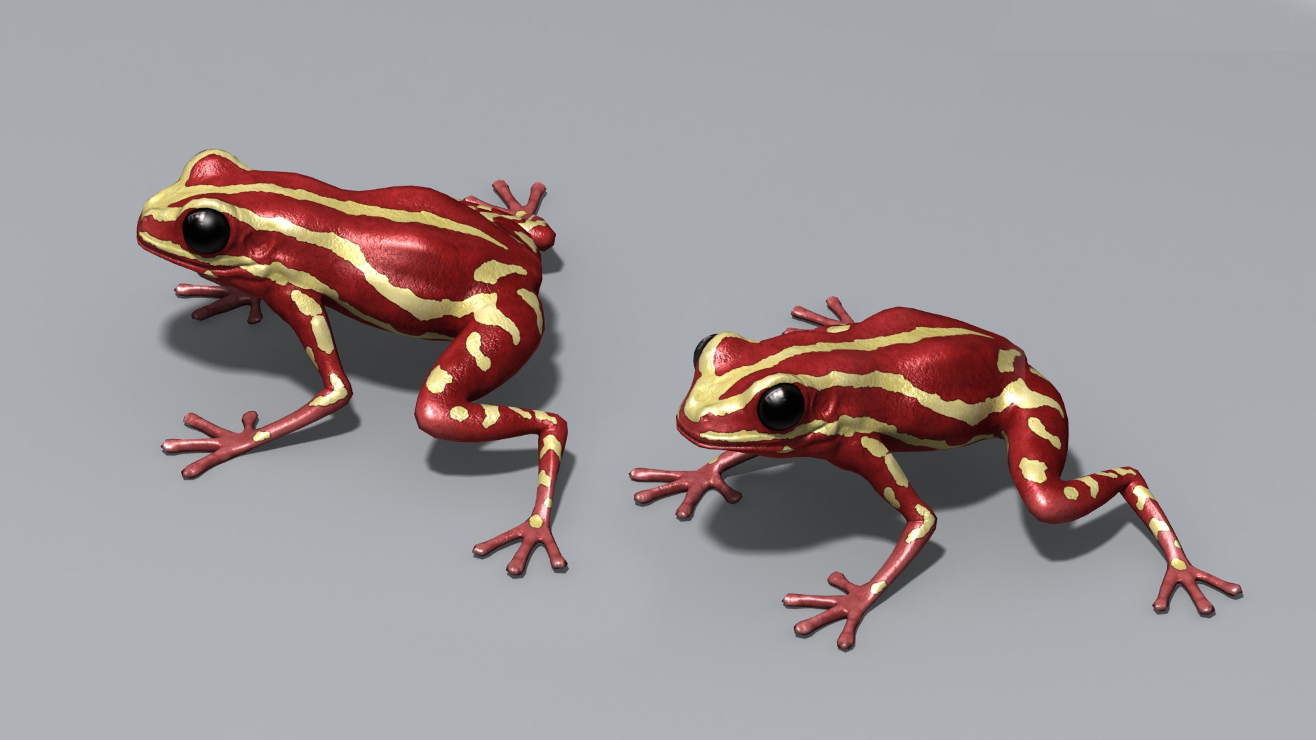 Phantasm Poison Frog 3D Model - TurboSquid 2188539