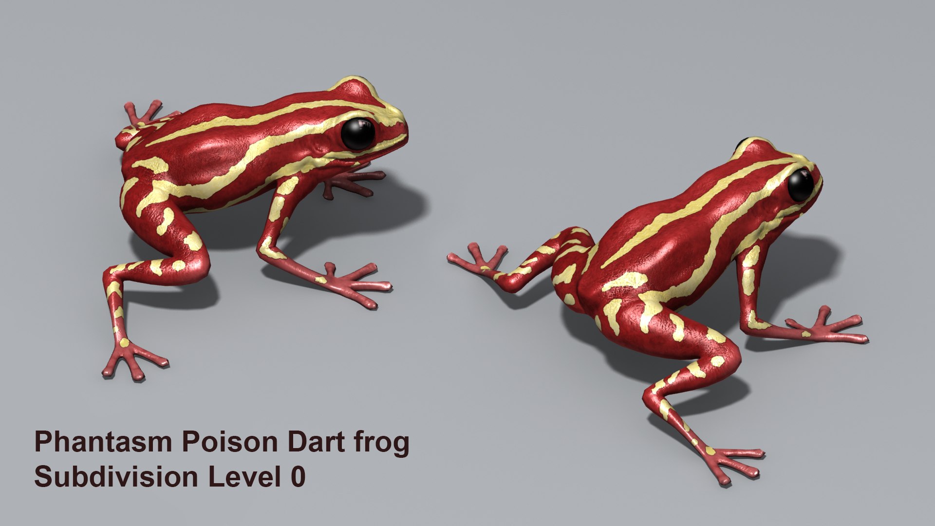 Phantasm Poison Frog 3D Model - TurboSquid 2188539