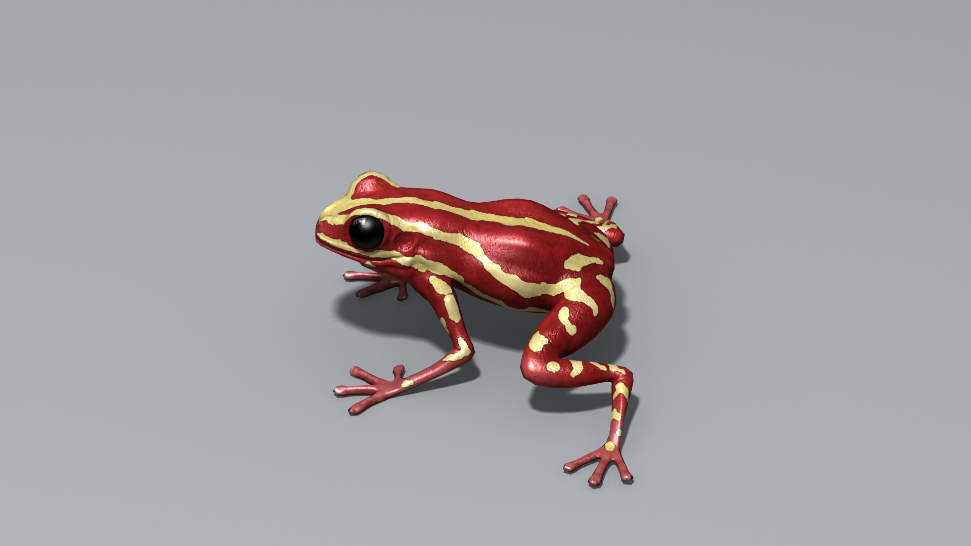 Phantasm Poison Frog 3D Model - TurboSquid 2188539