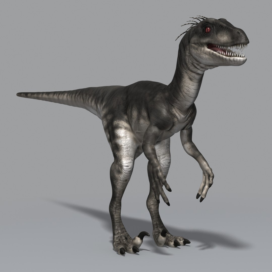 3d Model Raptor Carnivore
