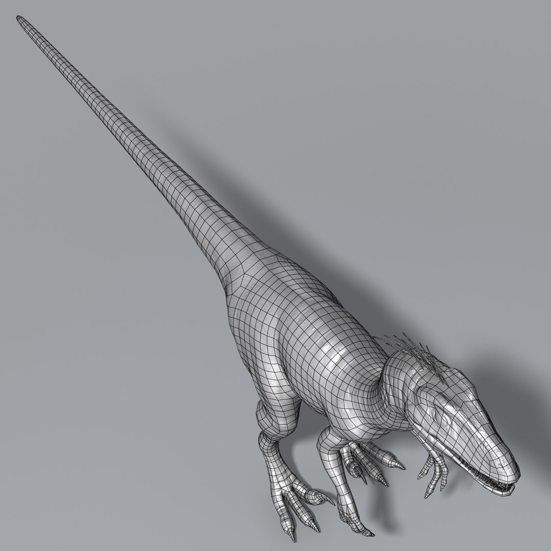 3d Model Raptor Carnivore