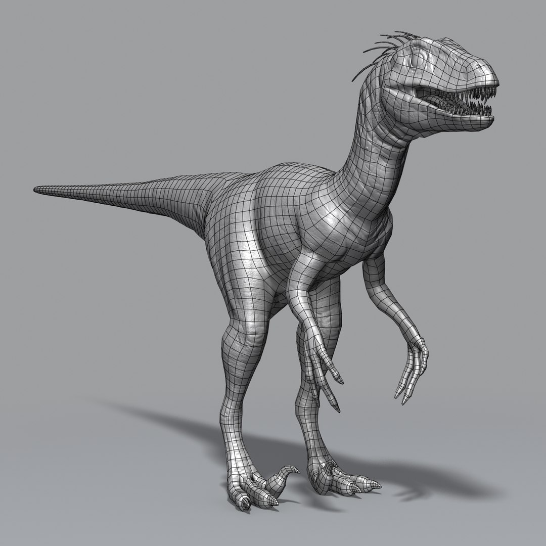3d Model Raptor Carnivore