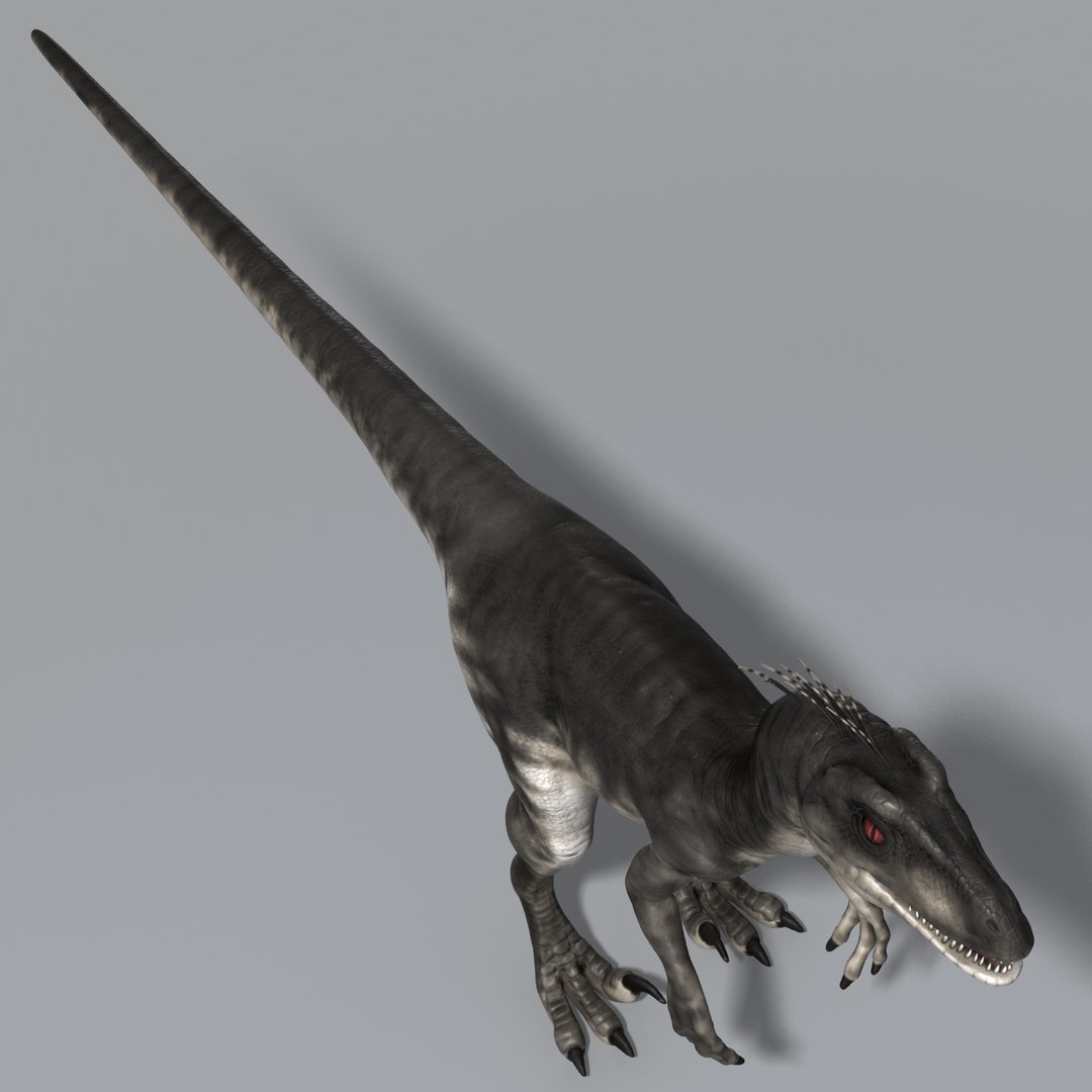 3d Model Raptor Carnivore