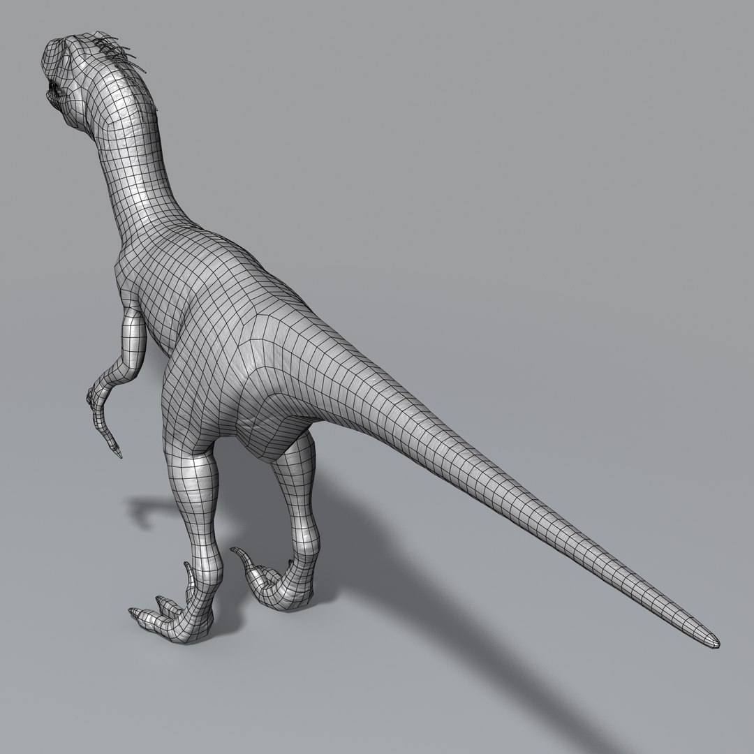 3d Model Raptor Carnivore