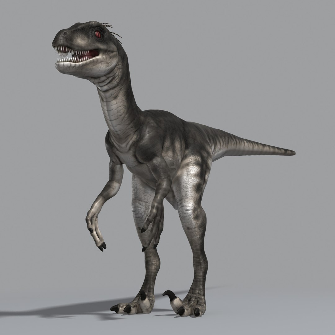 3d Model Raptor Carnivore