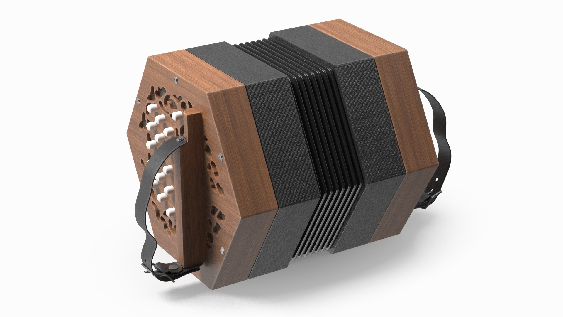 modelo 3d Acordeón Concertina Profesional - TurboSquid 2419831