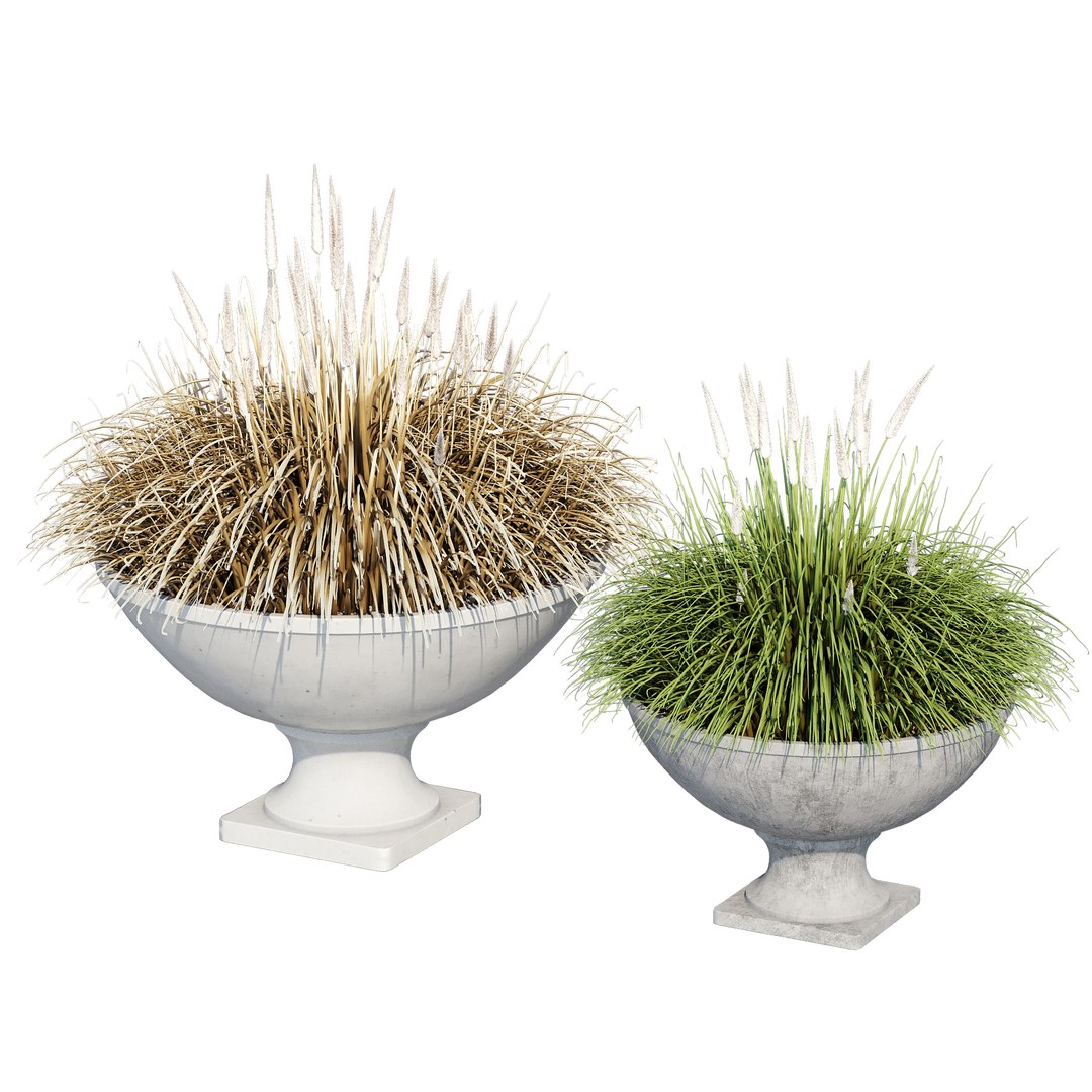 Sebastian 3D Model - TurboSquid 1901370