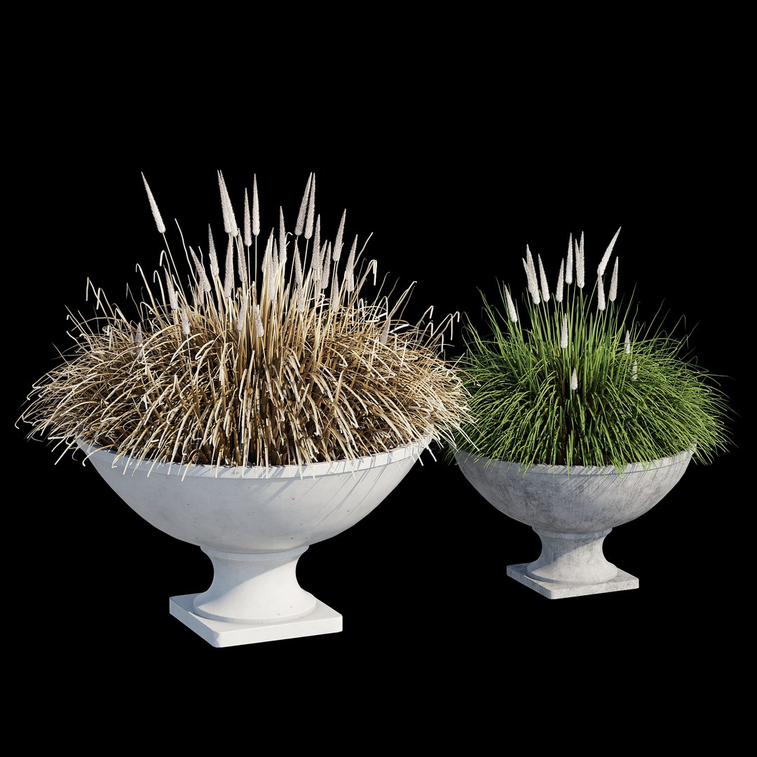 Sebastian 3D Model - TurboSquid 1901370