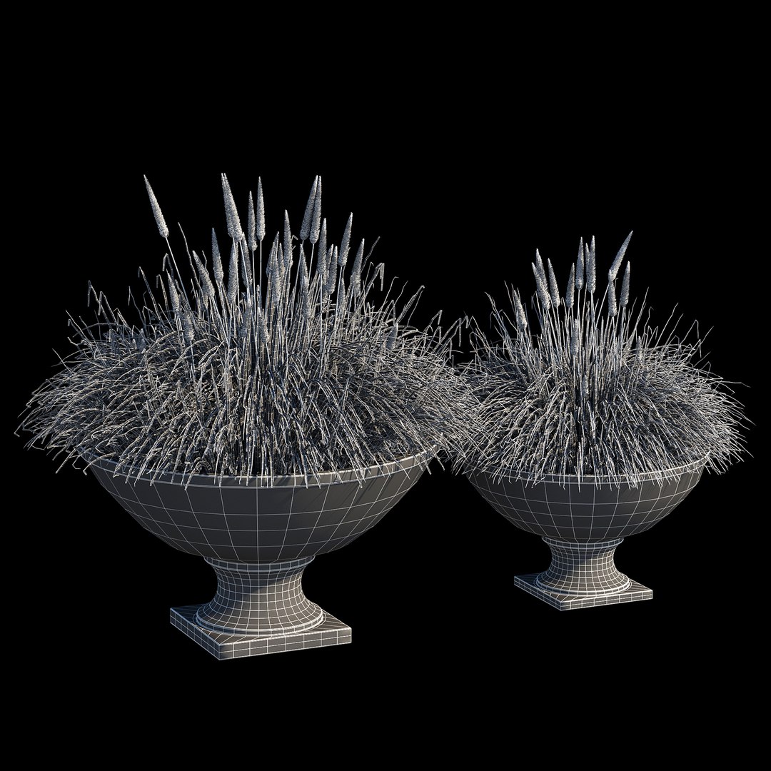 Sebastian 3D Model - TurboSquid 1901370