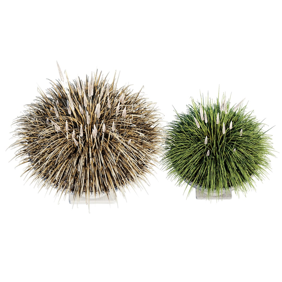 Sebastian 3D Model - TurboSquid 1901370