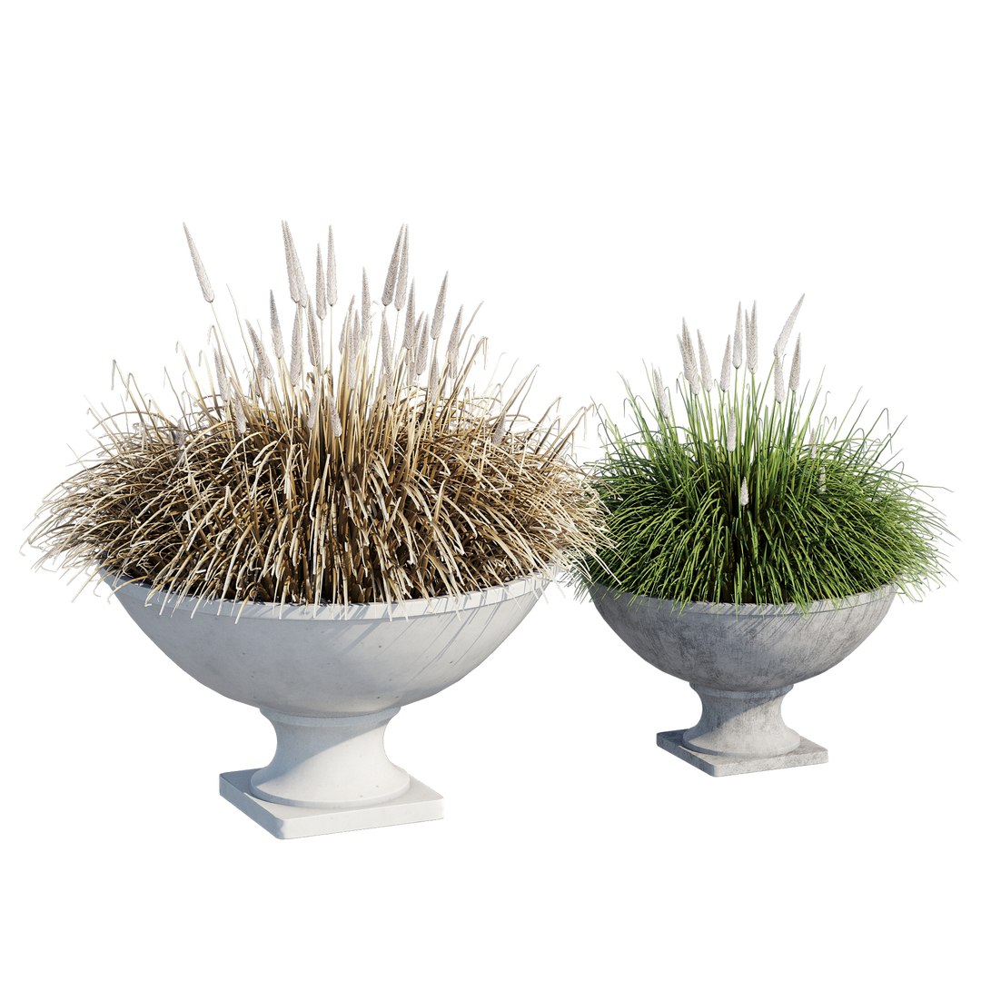 Sebastian 3D Model - TurboSquid 1901370