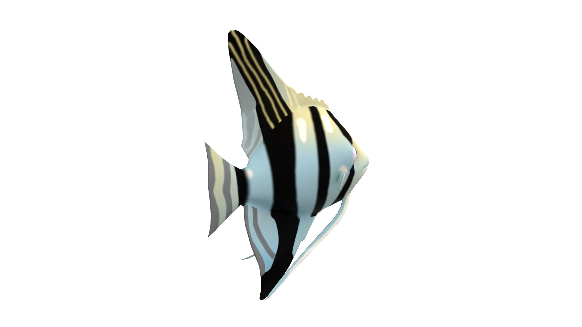 3D Angel Fish Toon Animation - TurboSquid 1586168