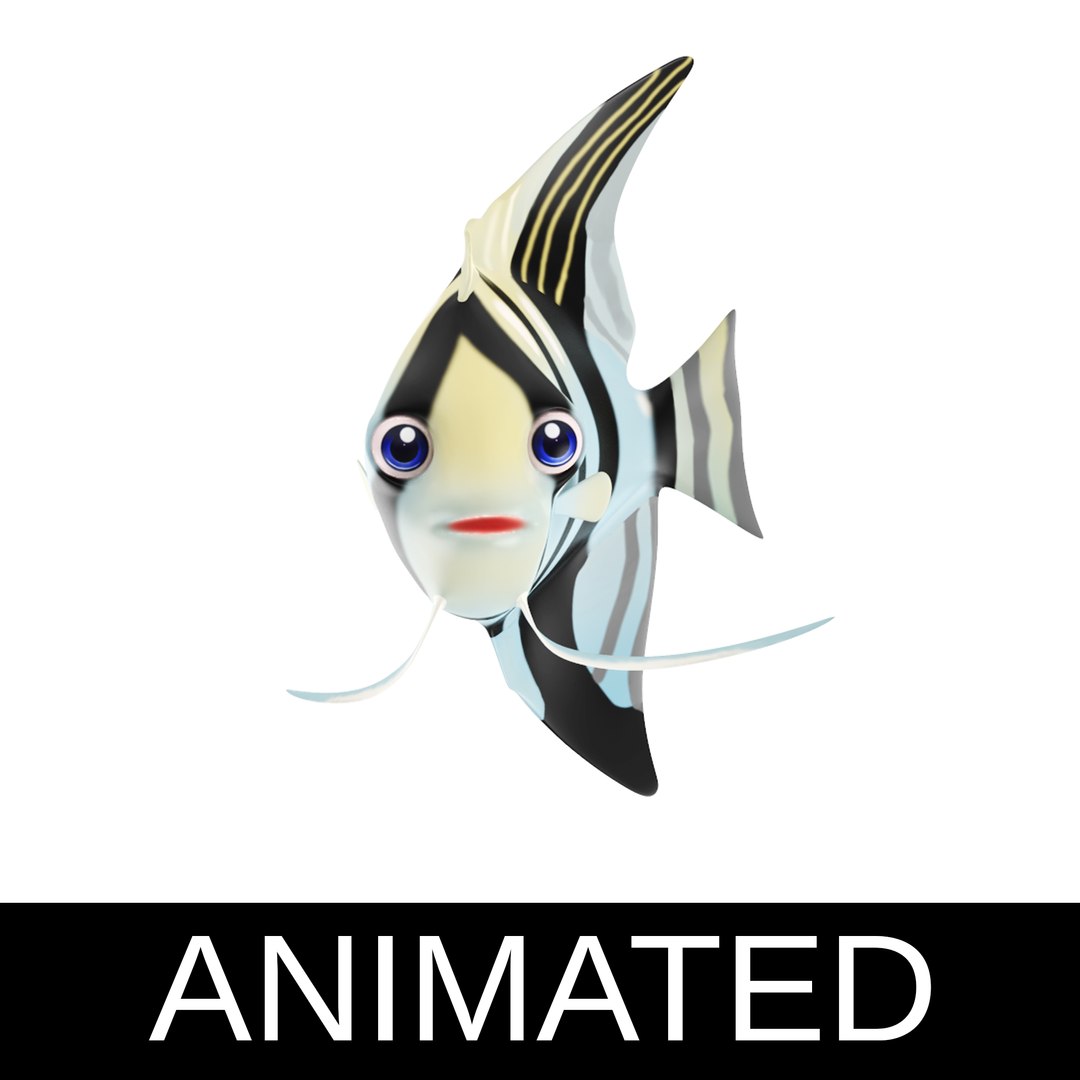 3D Angel Fish Toon Animation - TurboSquid 1586168