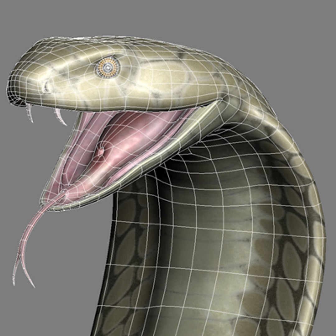 3d Model King Cobra