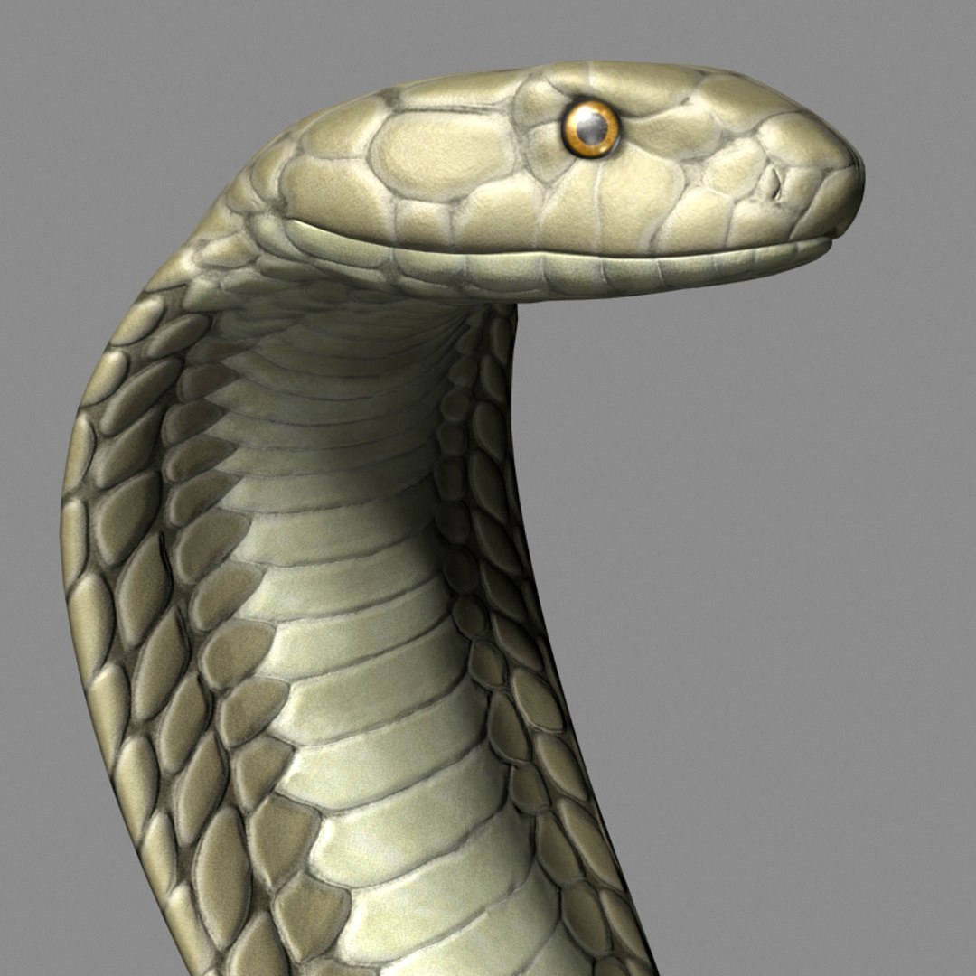 3d Model King Cobra