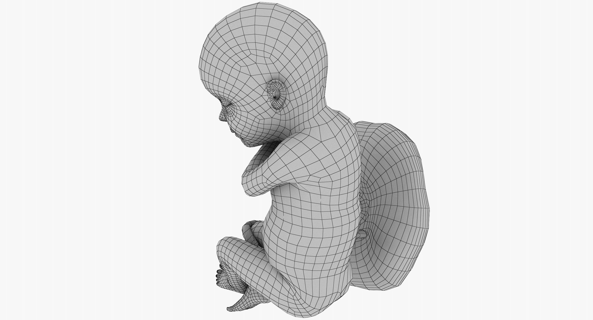 Fetus Week 30 3D - TurboSquid 1224236