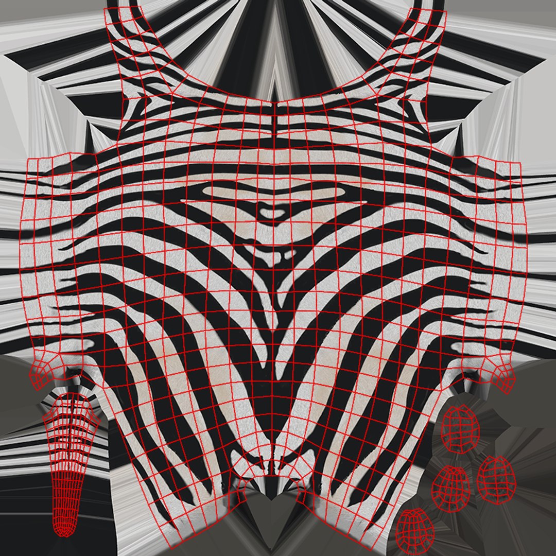 Zebra Animated 3D Model - TurboSquid 2503199