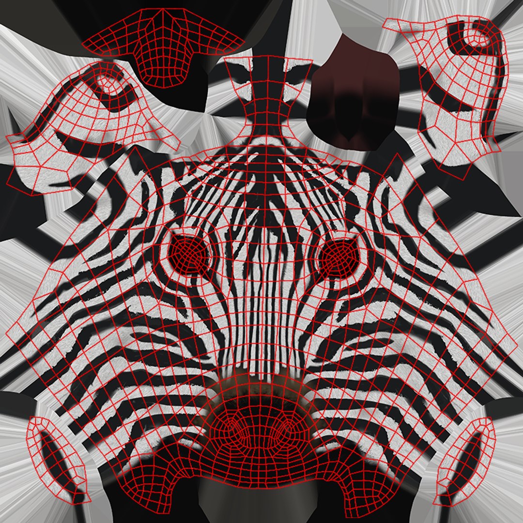 Zebra Animated 3D Model - TurboSquid 2503199