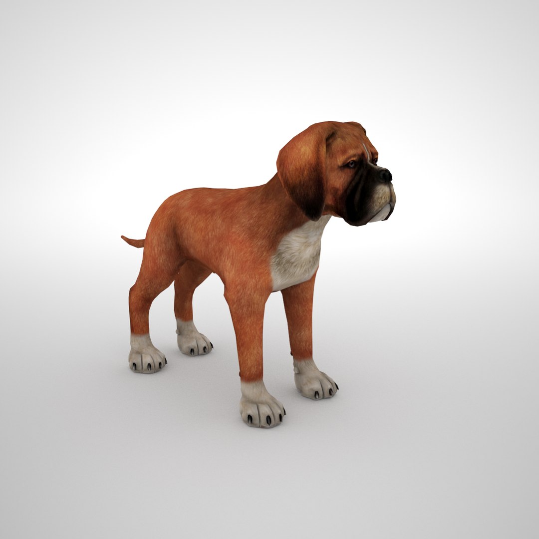 3D Boxer Dog - TurboSquid 1176237