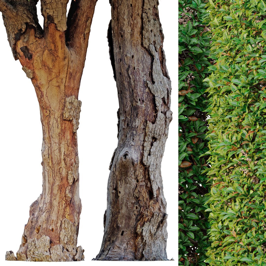 3D Cylindrical shape shrub model - TurboSquid 1931263