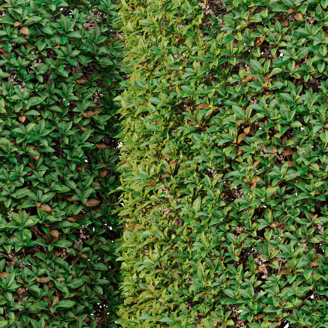 3D Cylindrical shape shrub model - TurboSquid 1931263