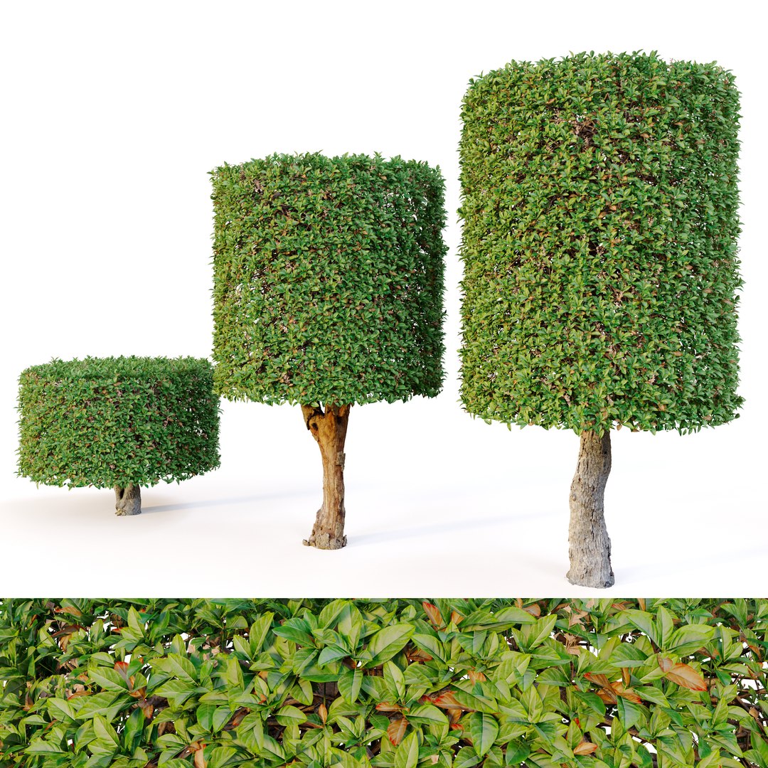 3D Cylindrical shape shrub model - TurboSquid 1931263